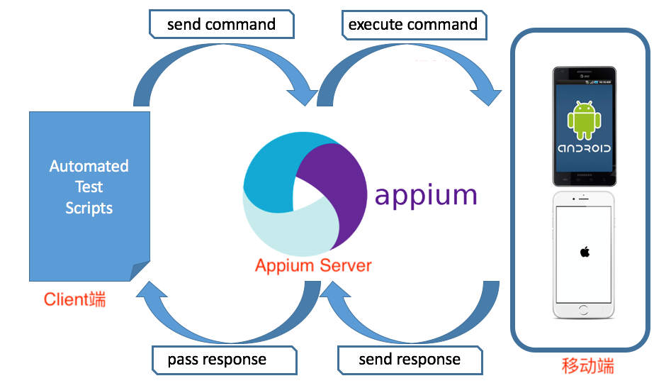appium使用教程 - Python爬虫工程师指南